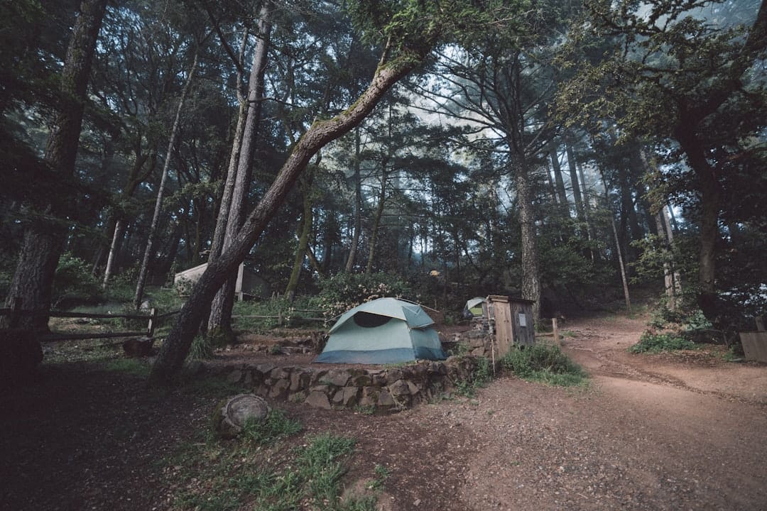 9 Game-Changing Camping Cot Picks for Wildlife Photography