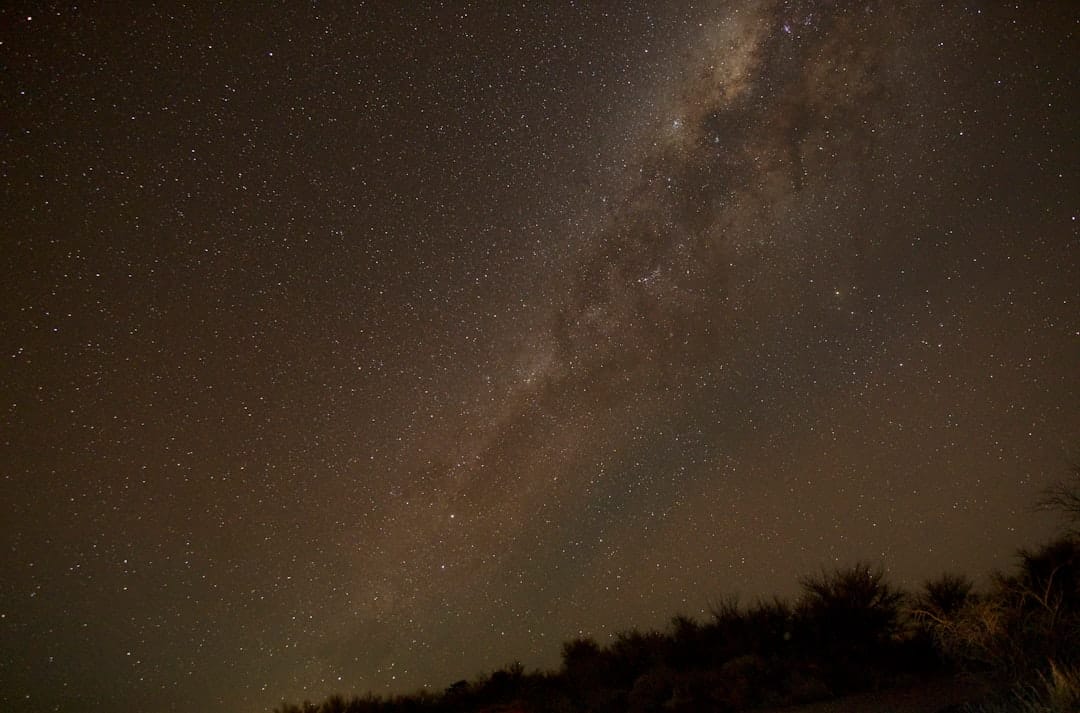 17 Epic Arizona Desert Photography Tips for Wild Shots